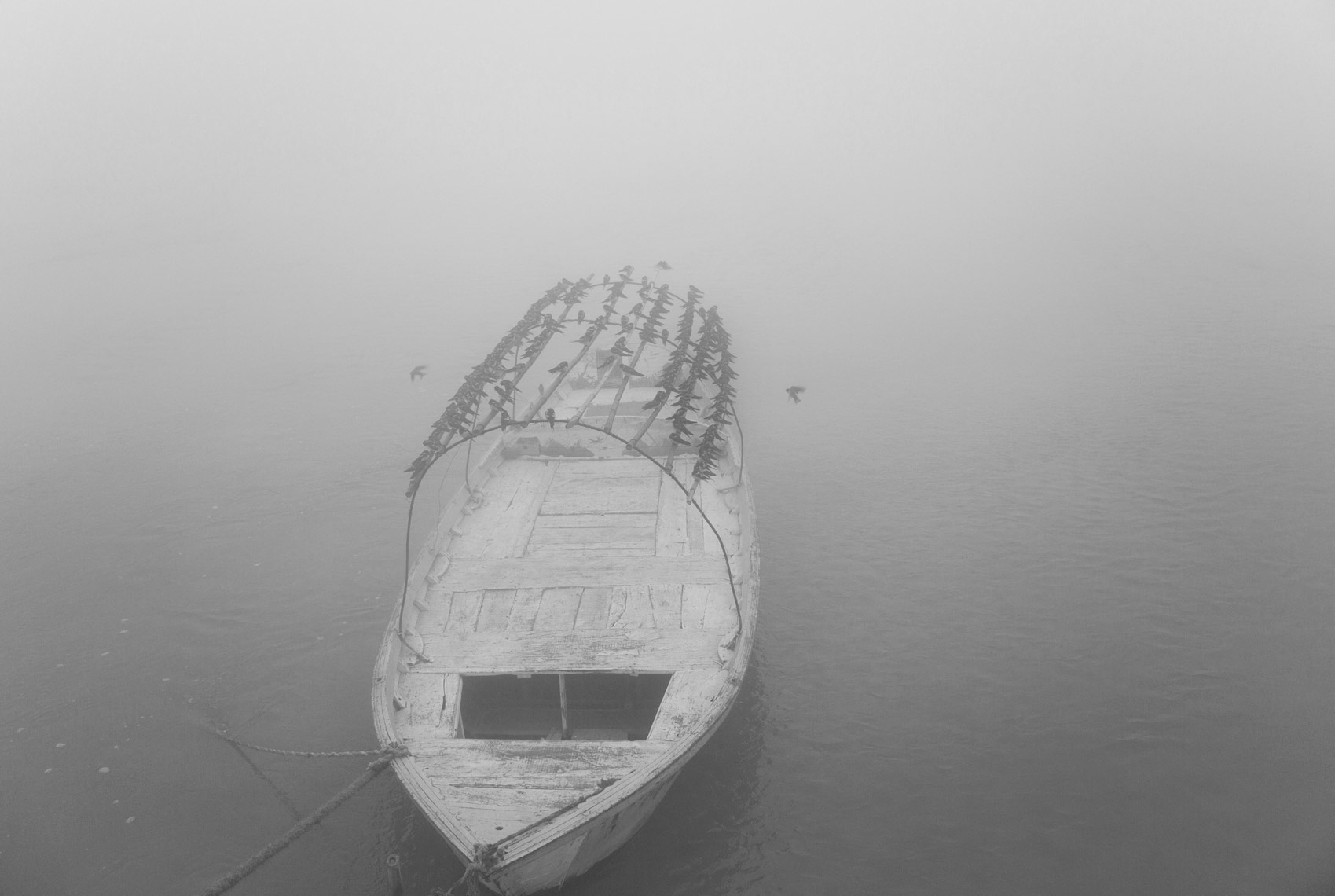 Palani Mohan - Photographer