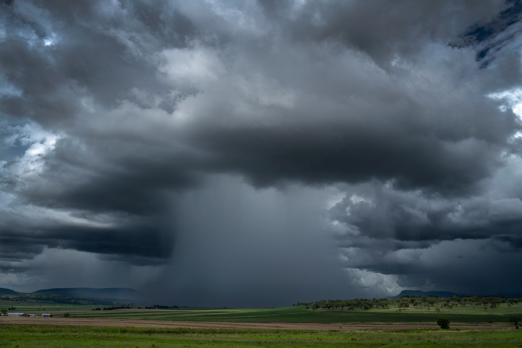 Palani Mohan - Photographer