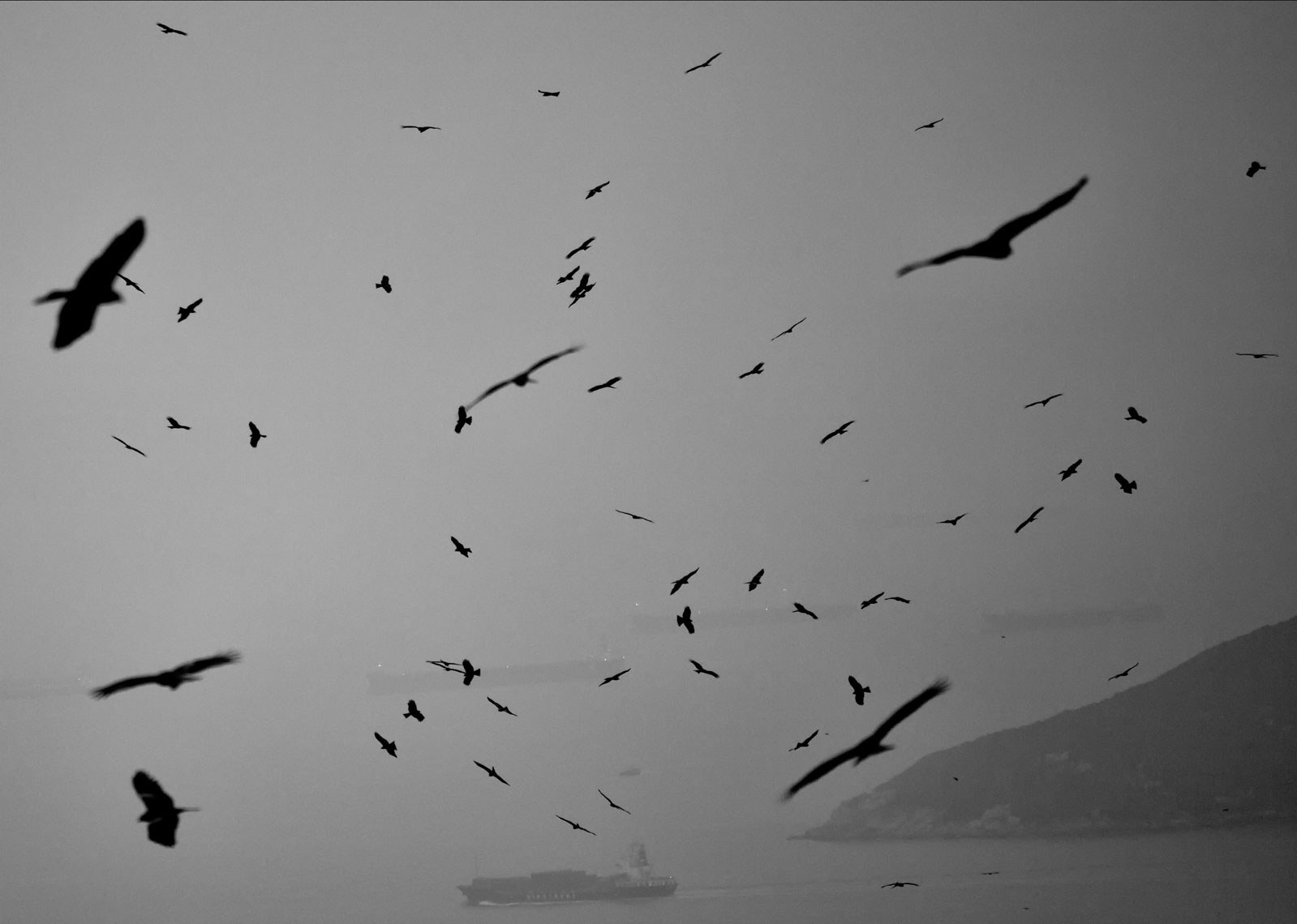 Palani Mohan - Photographer